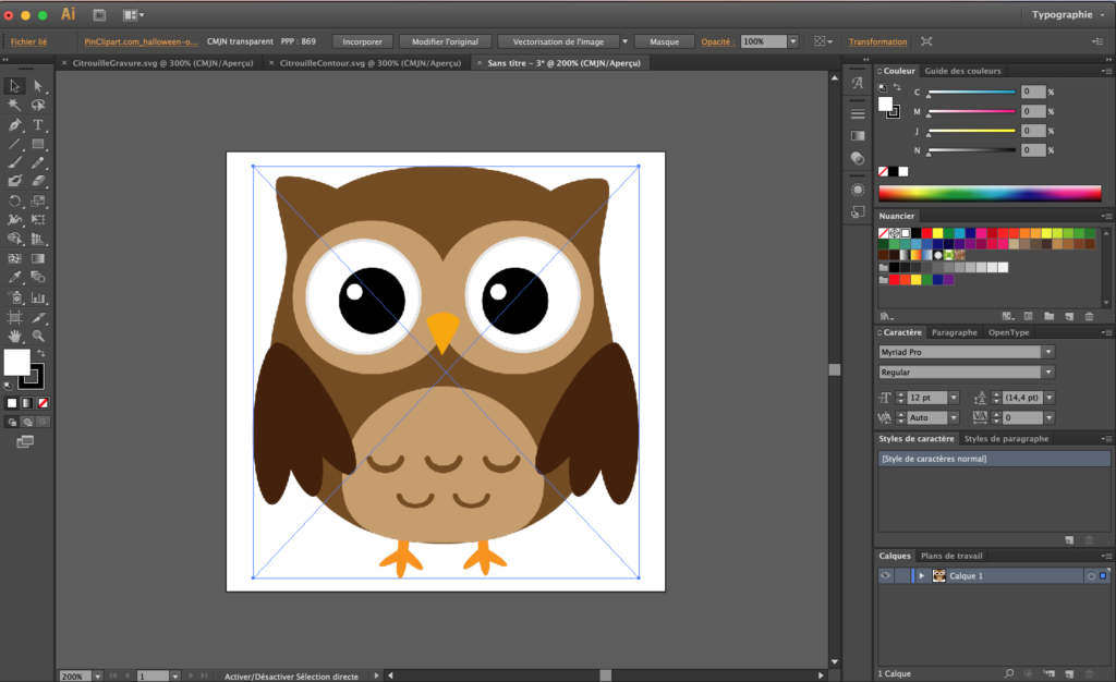Vectorisation d’une image – Xperience